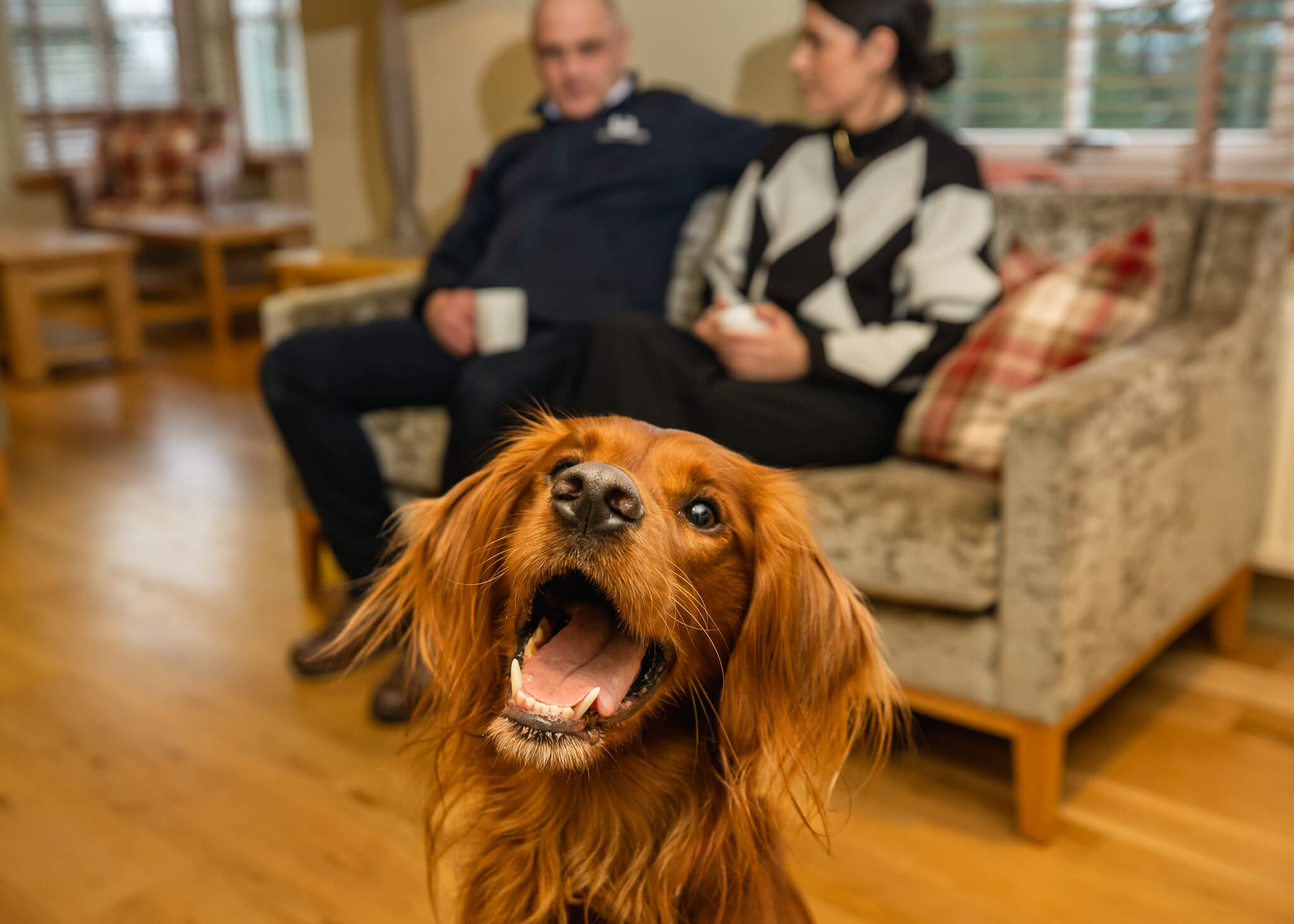 Dog Friendly Trails Peebles | Pet Friendly Breaks at Peebles Hydro